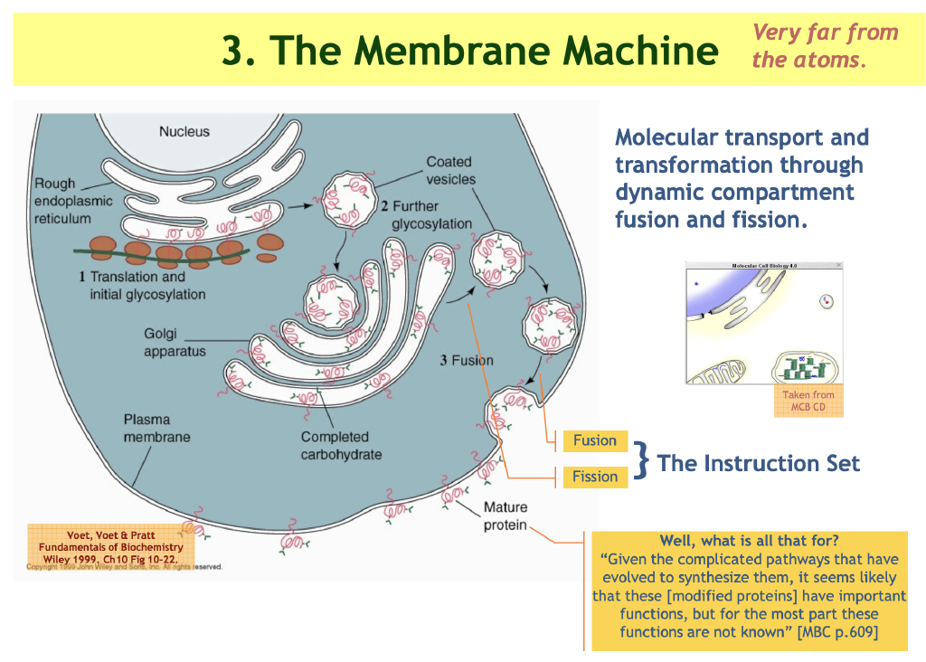 What is a computer? · stereobooster